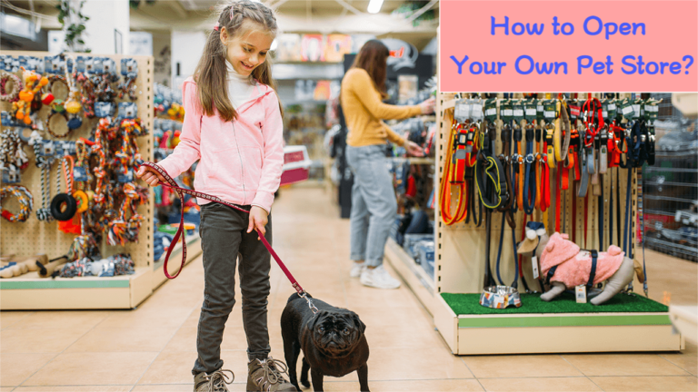 How to Open Your Own Pet Store? - EcoPetFashions-Global Custom Pet ...